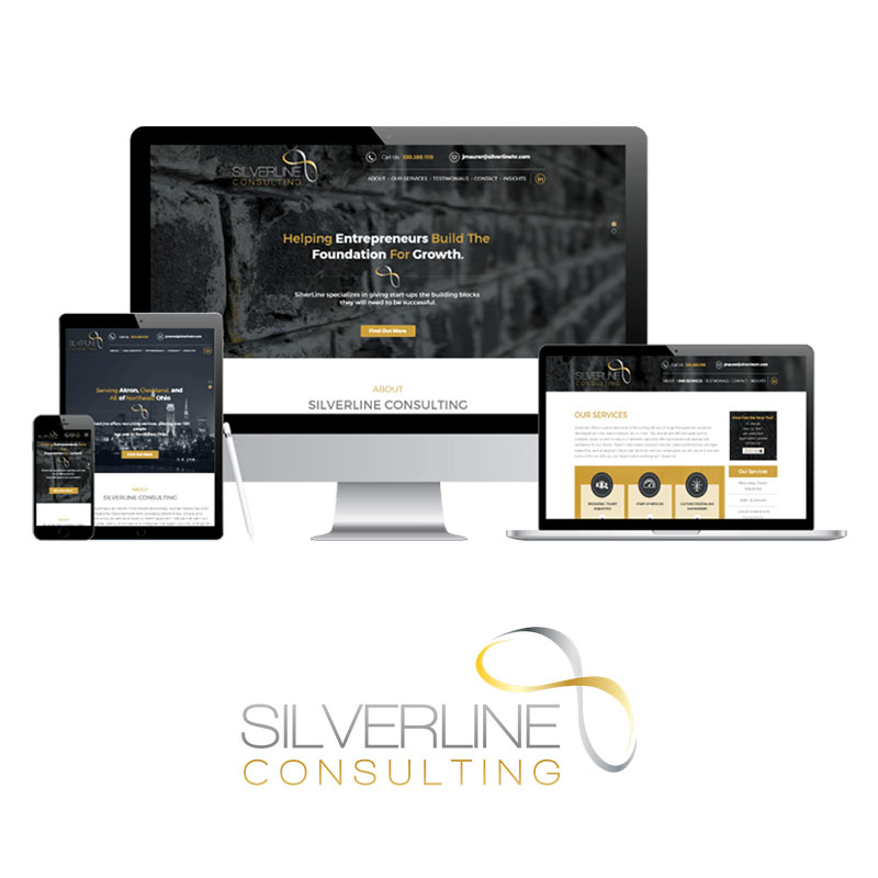 IGV's Website Project Portfolio - IGV Website Redesign