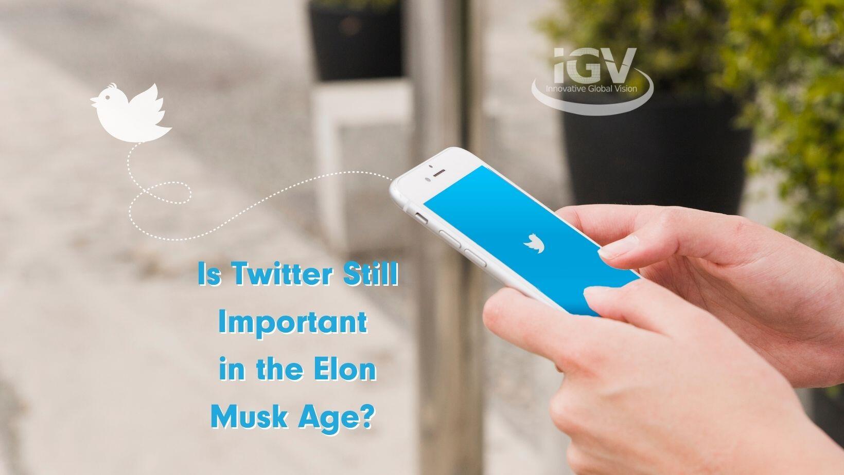 Is Twitter Still Important in the Elon Musk Age? - Website Design and ...